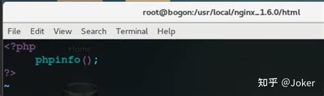Nginx Php