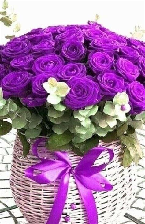 ☘️🌿☘️🌿 ЧУДЕСНИЦА ПРИРОДА 🌿☘️🌿☘️ Группа на Вступай читай