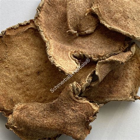 Turmeric Curcuma Xanthorrhiza Javanese Turmeric Organic Rhizome