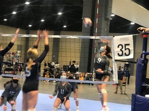 Sofia Hardy Prep Dig