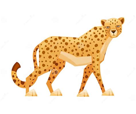 Standing Cheetah As African Large Cat With Long Tail And Black Spots On
