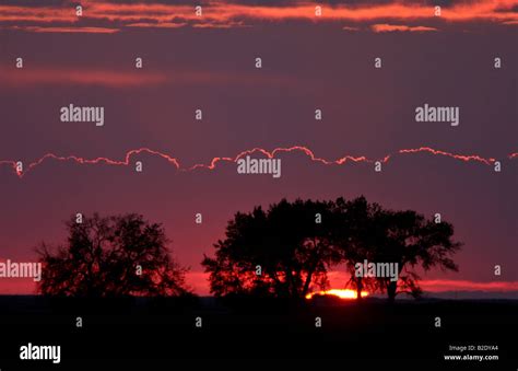 Sun Setting Behind Trees Stock Photo Alamy