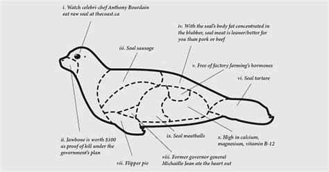 Seal Meat Album On Imgur