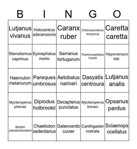 Vid Ingo Bingo Card