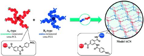 Synthesis Of Acns From Hydrophobic Download Scientific Diagram
