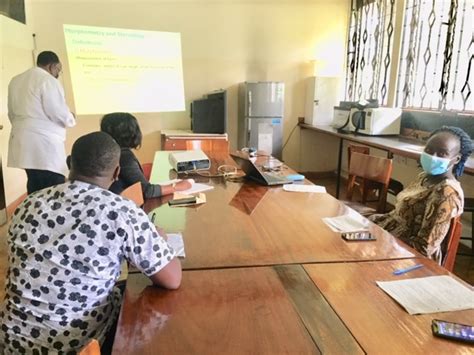 Basic Concepts And Methods Of Morphometry And Modern Stereology Training Department Of Veterinary