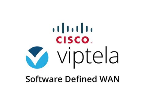 Cisco Viptela Sprint Networks