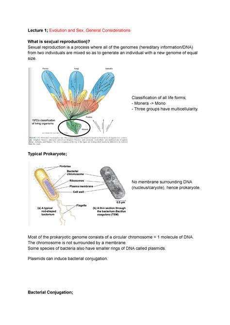 Bmsc 116 Full Notes Lecture 1 Evolution And Sex General