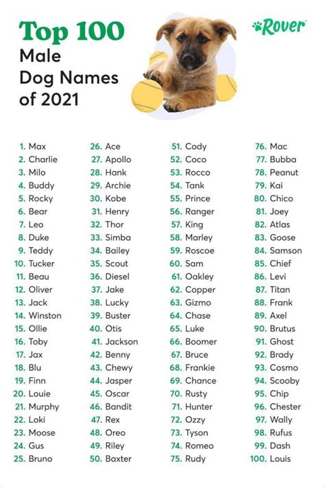 The Top 100 Male Dog Names Of 2021