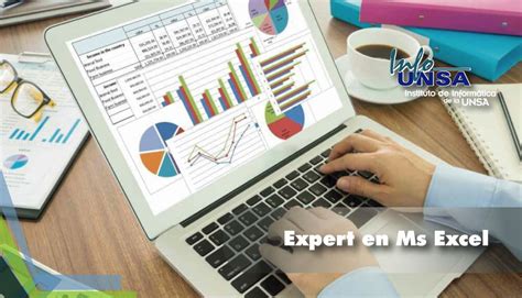Expert En Ms Excel Curso Infounsa