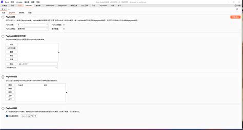 Burpsuite Zedsich S Blog