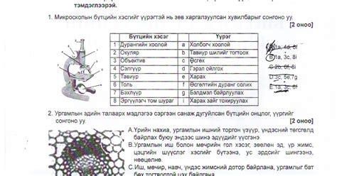 Дорнодын математик мэдээллийн технологийнхон ЭЕШ 2017 Биологи В