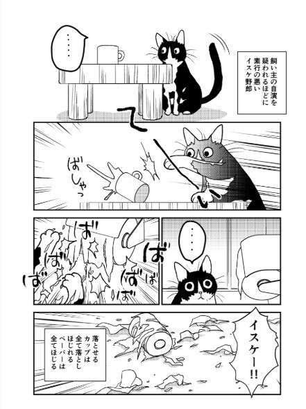塚本ひじくさん（hiji333）提供 Web 漫画 猫 イタズラ