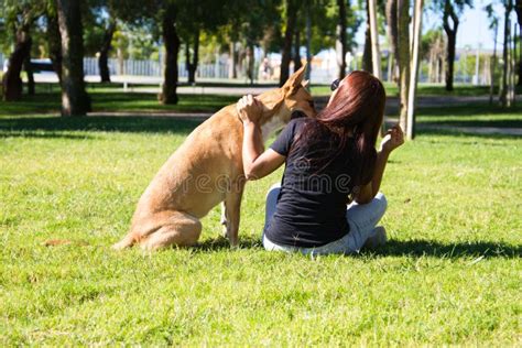 взрослая женщина играет со своей собакой в парке и веселится еще один в семье концепция