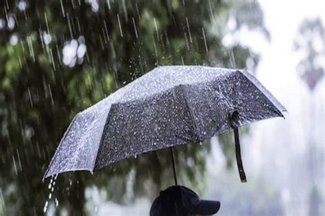 IMD Predicts Heavy Rains In City The Coming Few Days Nagpur Oranges