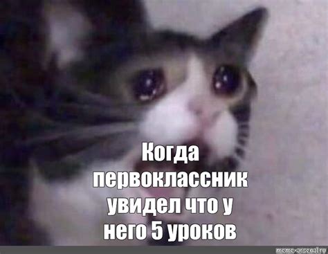 Создать мем ревущий кот мем кошка плачущий кот мем Картинки