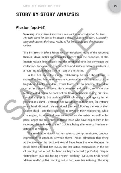 Like A House On Fire Insight Text Guide Insight Publications