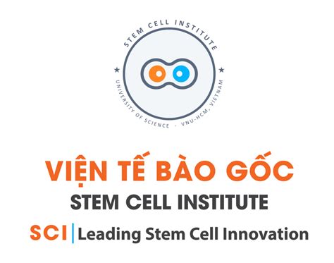 Stem Cell Summer School Stem Cell Innovation