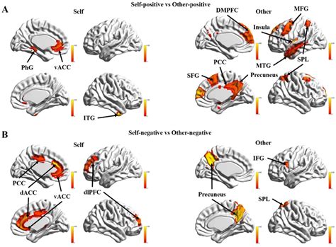 neural patterns of the two classifiers in the positive and negative