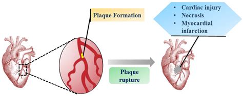 Jcm Free Full Text Analyzing Impetus Of Regenerative Cellular