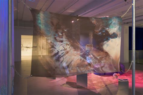 Jes Fan Sex Ecologies Outside Exhibitions Andrew Kreps Gallery