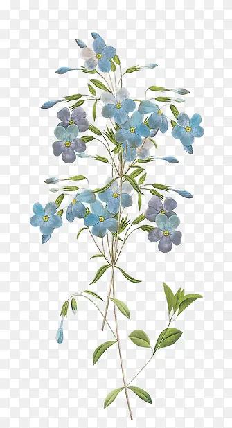 Png Qxgjeray