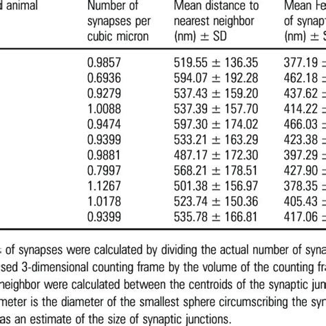 Representation Of The Distribution Of The Sizes Of Synaptic Junctions