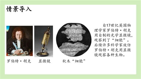 2 3 1植物细胞的结构和功能课件 共19张ppt 2023 2024学年苏教版生物七年级上册 21世纪教育网
