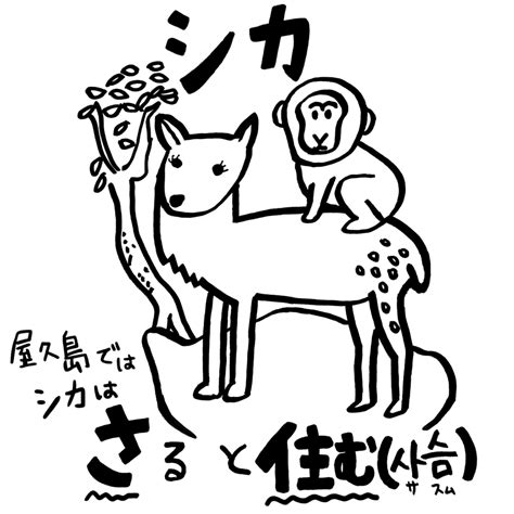 たのしい全イラスト付き 単語の覚え方辞書 語呂で覚える韓国語 こんぶパン