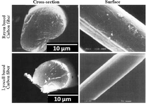 Sem Micrographs Of Surface And Cross Section Morphology Of
