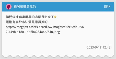 貓咪嘴邊黑黑的 寵物板 Dcard