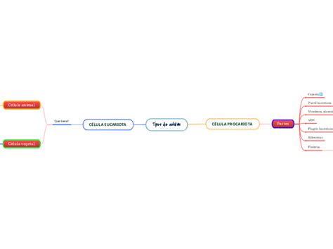 Tipos De Celulas Mind Map