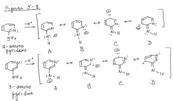 Answered Figure 5 8 Shows Resonance Forms For Bartleby