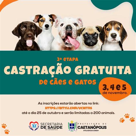 Prefeitura Municipal Caetanópolis Segunda Etapa Da Castração Gratuita