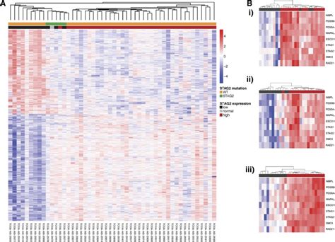 Genetic Alterations Of The Cohesin Complex Genes In Myeloid