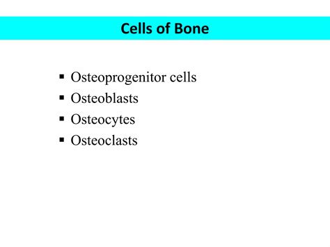 Skeletal Tissue Pdf