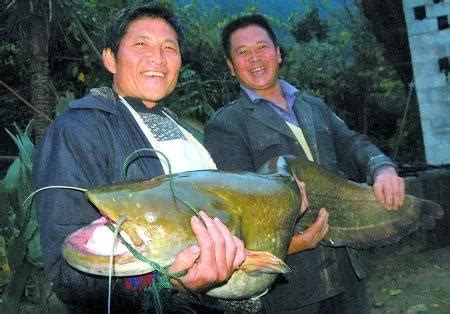 釣魚小技巧之 護城河裡釣鲶魚 每日頭條