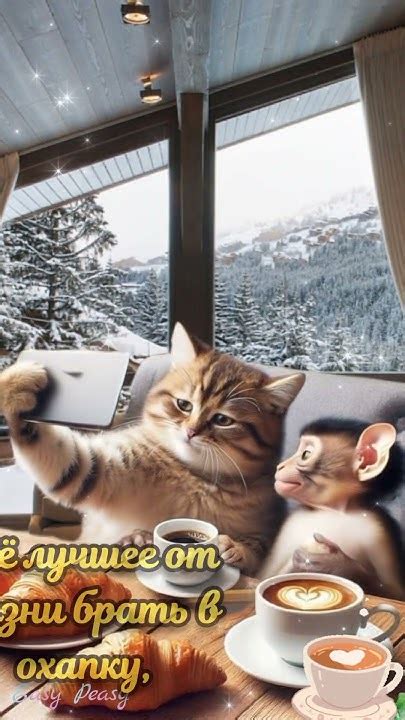 🌞☕Самого доброго утра💗Благословенного дня🌞Красивая музыкальная