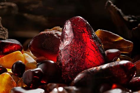 Amber Ultimate Guide To Collecting Amber What It Is And How To Find