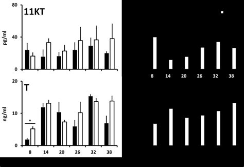 Circulating Levels Of Sex Steroid Hormones And Fsh During Download