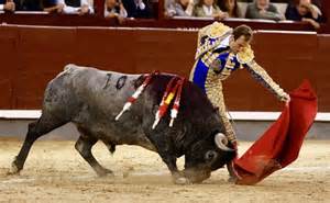 Román Faz O Melhor De Las Ventas Galván Colhido Touro E Ouro
