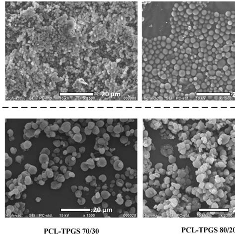 Sem Micrographs Of Neat Without Api And Drug Al Loaded Polymeric Download Scientific