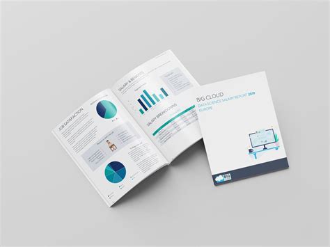 Data Science Salary Report Europe 2019 Big Cloud