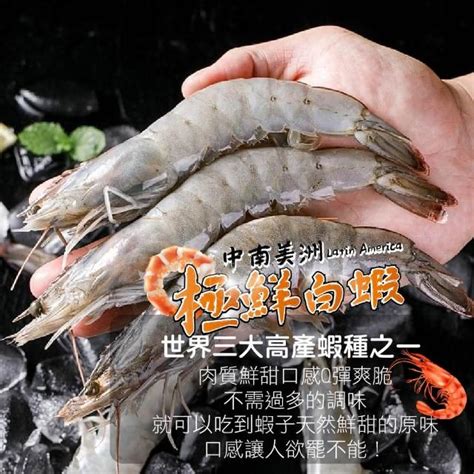 【帥哥魚海鮮】中南美洲大白蝦2030 Momo購物 2024年09月