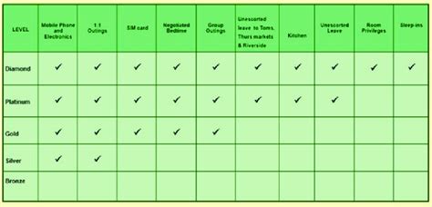 3 Summary Of Level System Download Scientific Diagram