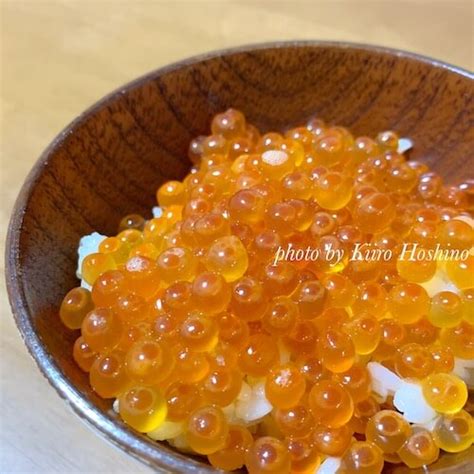 【楽天ふるさと納税】大粒プチプチで大満足！のいくら醤油漬け（北海道白糠町）｜自然体ミニマリスト
