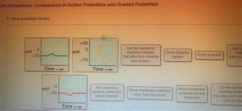 Solved Week 2 Homework Animations Comparison Of Action