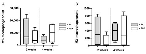 Cells Free Full Text Vascularization Of Poly ε Caprolactone