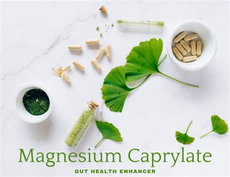 What They Don T Want You To Know About Magnesium And Sex Natural