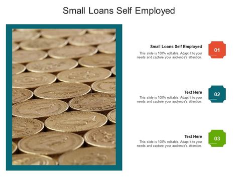 small loans self employed ppt powerpoint presentation layouts example